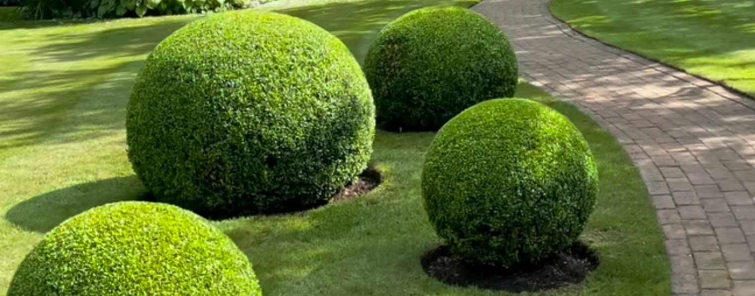 Ирина Троицкая