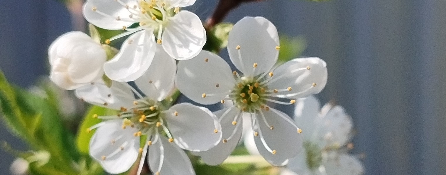 Татьяна Шаврагина
