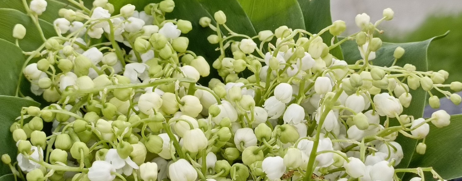 Сибирячка на Кавказе. Наташа.