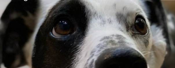 Тебенькова Марина