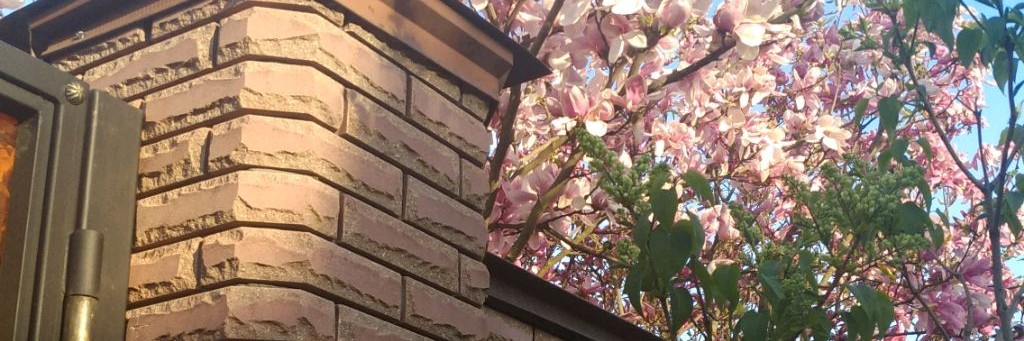 💎/Кошка Кристи/🔮