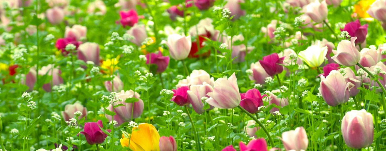 Торты, рукоделие и деревенские истории