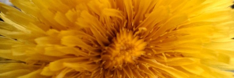 Ялюблюсвоюземлю🫶