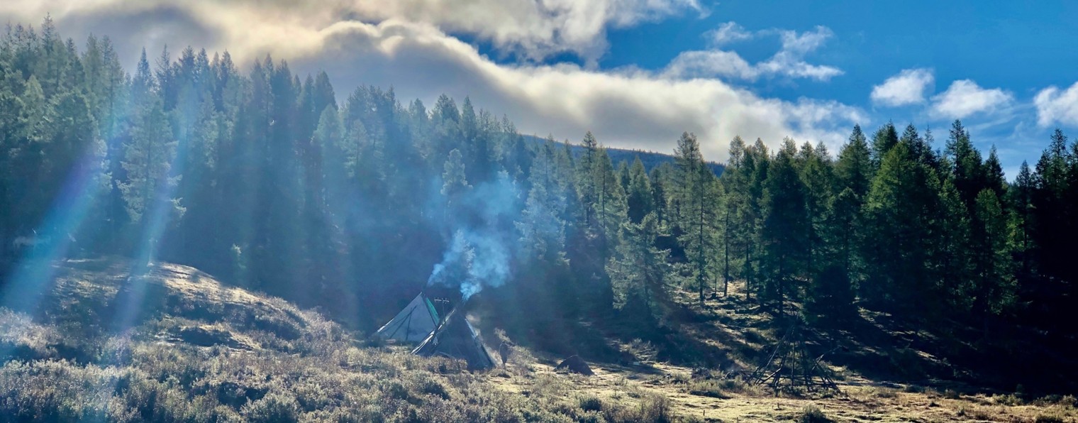 Открытая наука🐦⬛