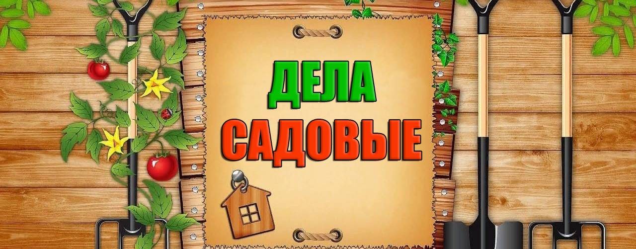 Дела садовые