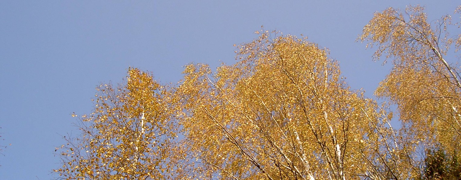 Борис, свои фильмы и фото