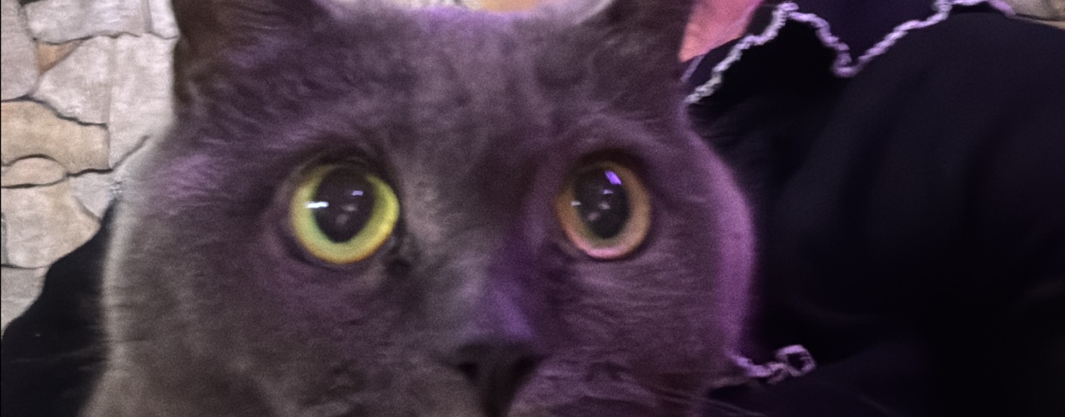 Елена (путешествуй со мной🙂)