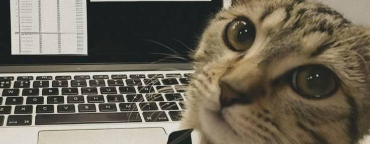 Кондакова Инна - ЕГЭ/ОГЭ Физика