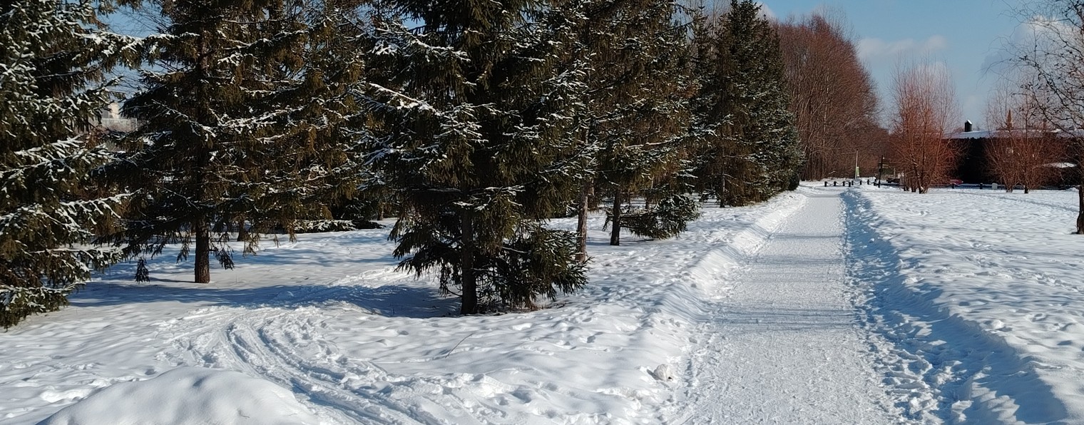 Татьяна Успенская (Bellydancer Tatiana Uspenskaya)