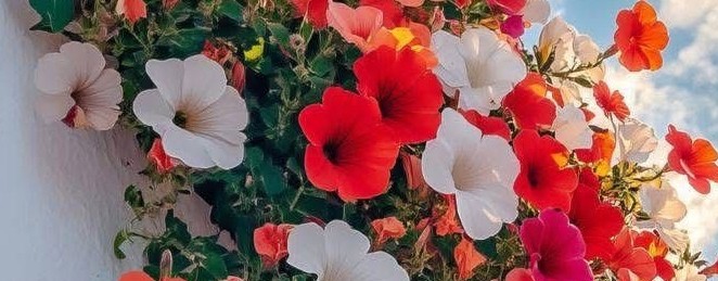 Времена года