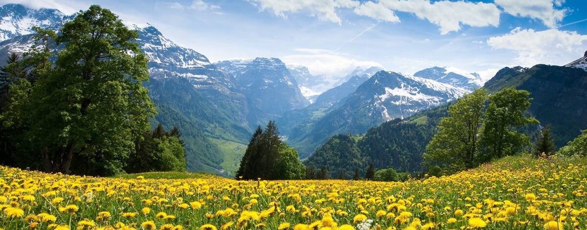 Играем вместе и смотрим вместе.