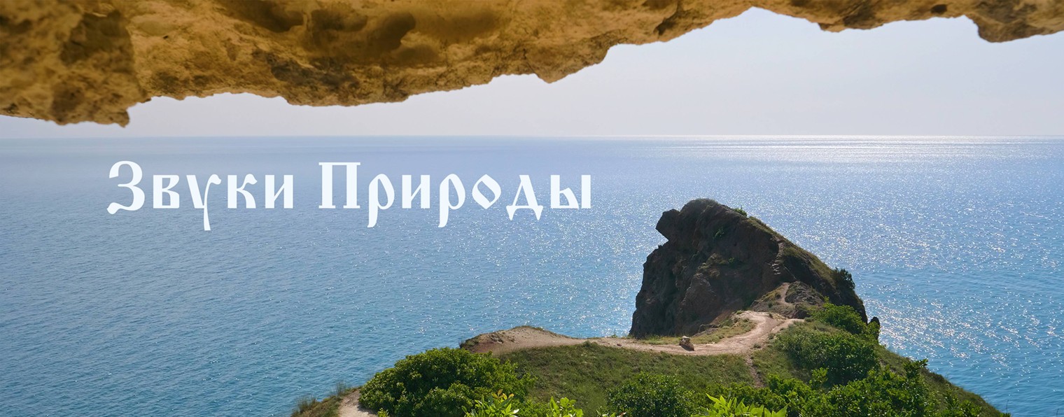 Звуки Природы
