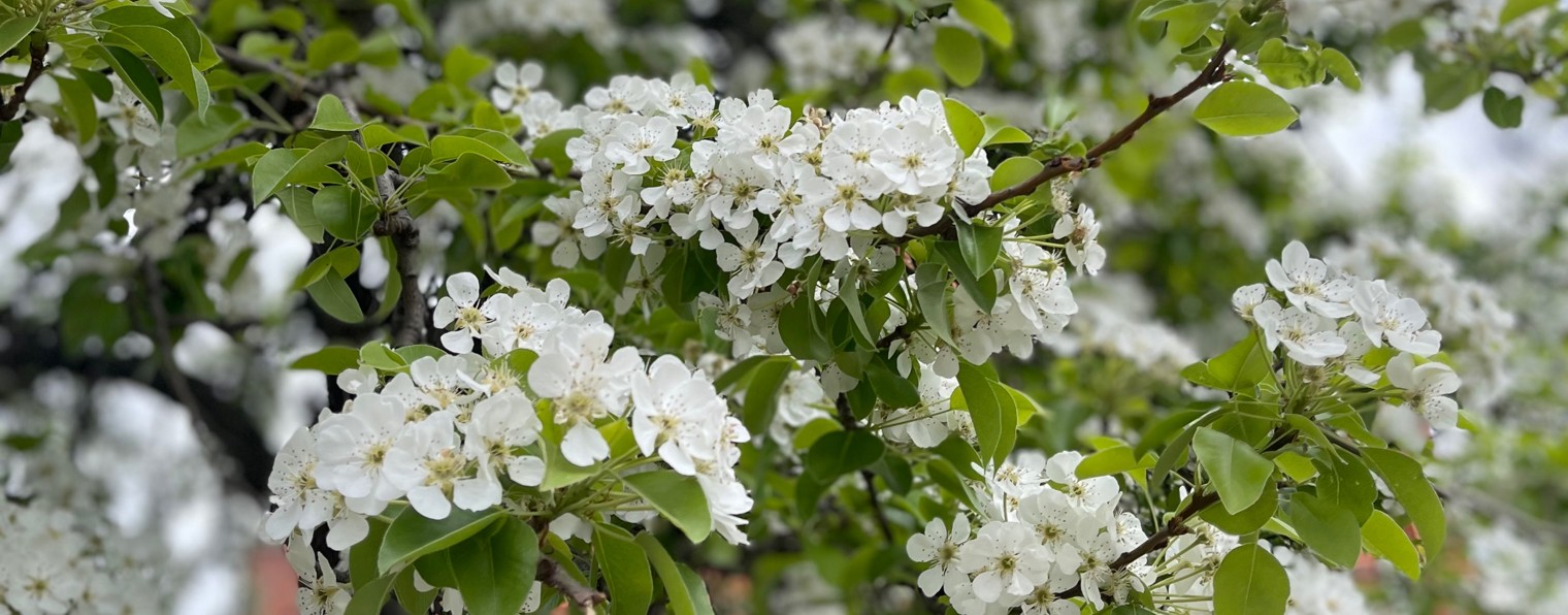 Краски жизни с Ланой