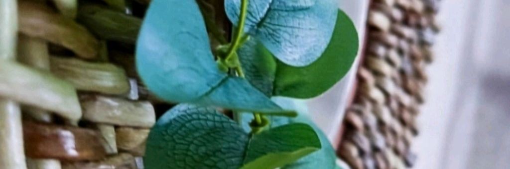 ЛЕС С СОБОЙ 🧺