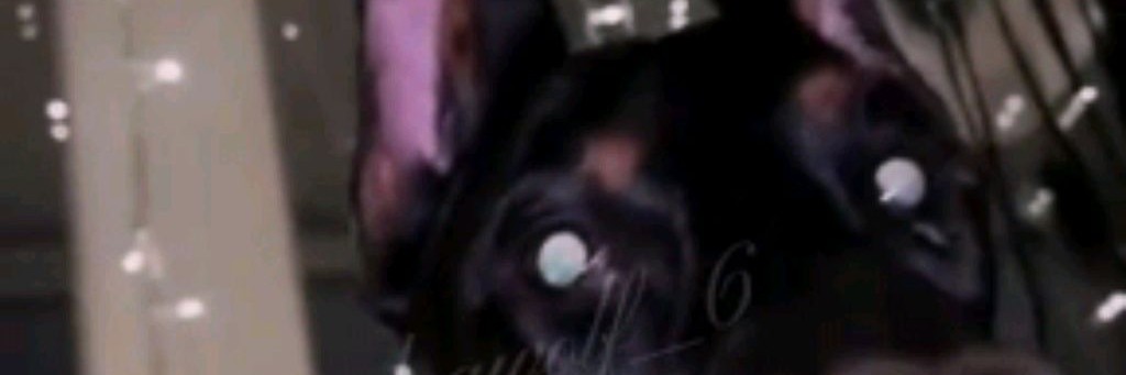 Багатый🤑🤑🤑🤑