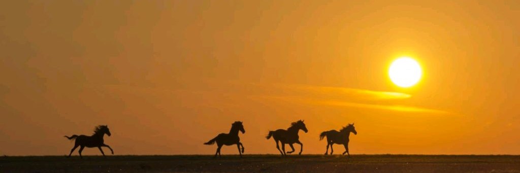 Тахир Скокленёв