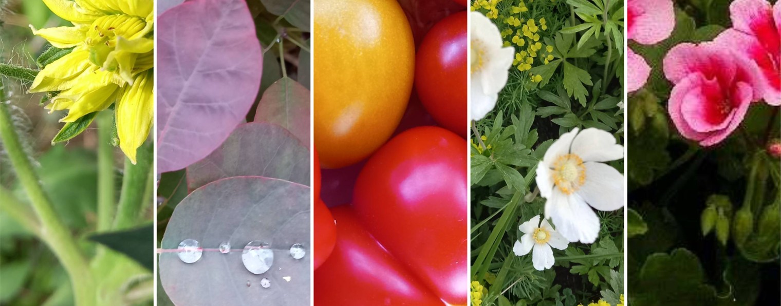 ГОРОДСКАЯ В СЕЛЕ