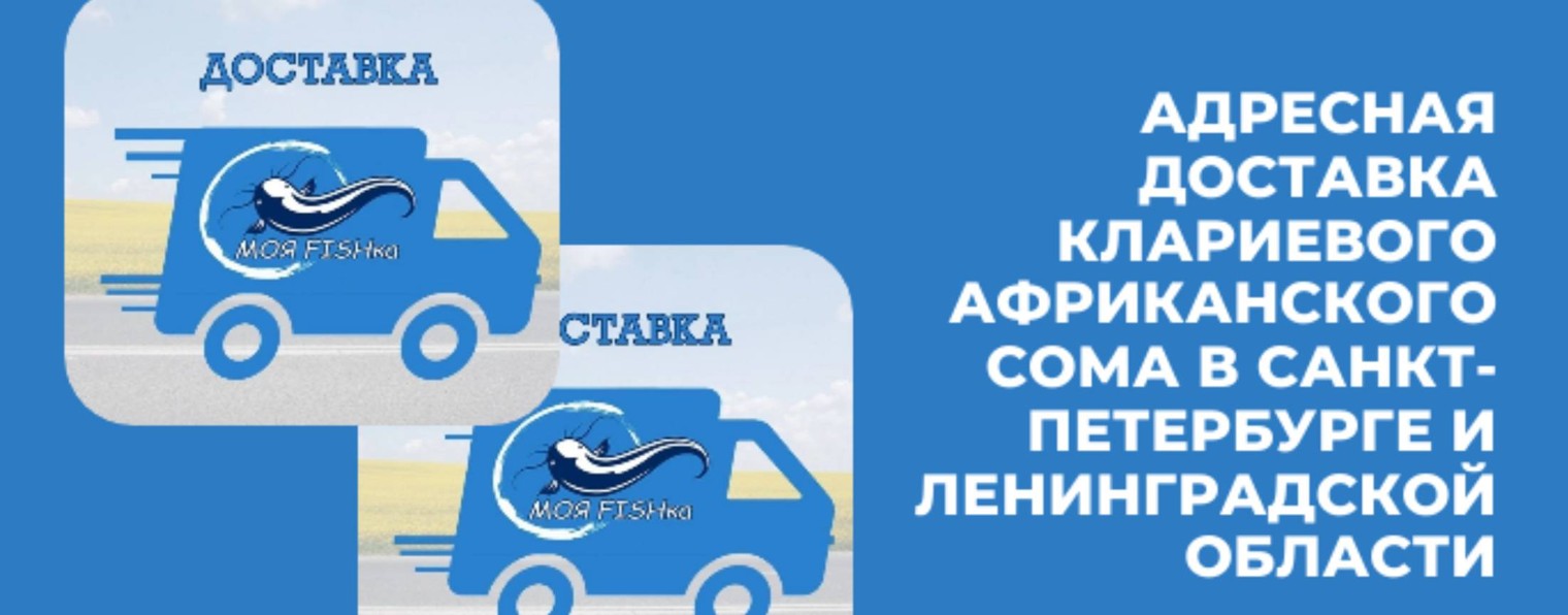 Моя FISHка