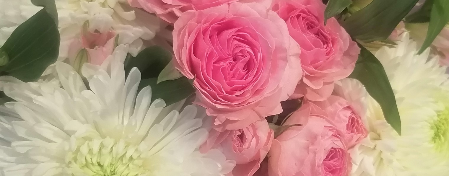 Счастливая жизнь: музыка и путешествия.