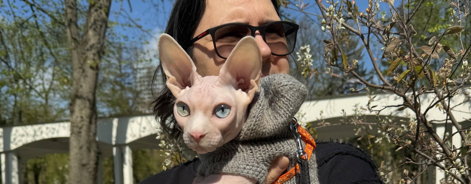 SphynxGang