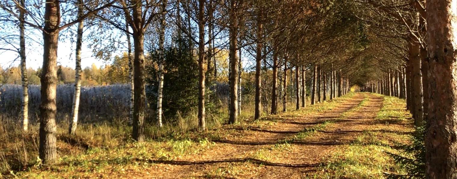 Герман и Ксения Стыровы [Жизнь на своей земле]