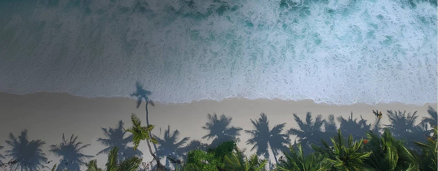 🌿 SEAHAVA — натуральная косметика