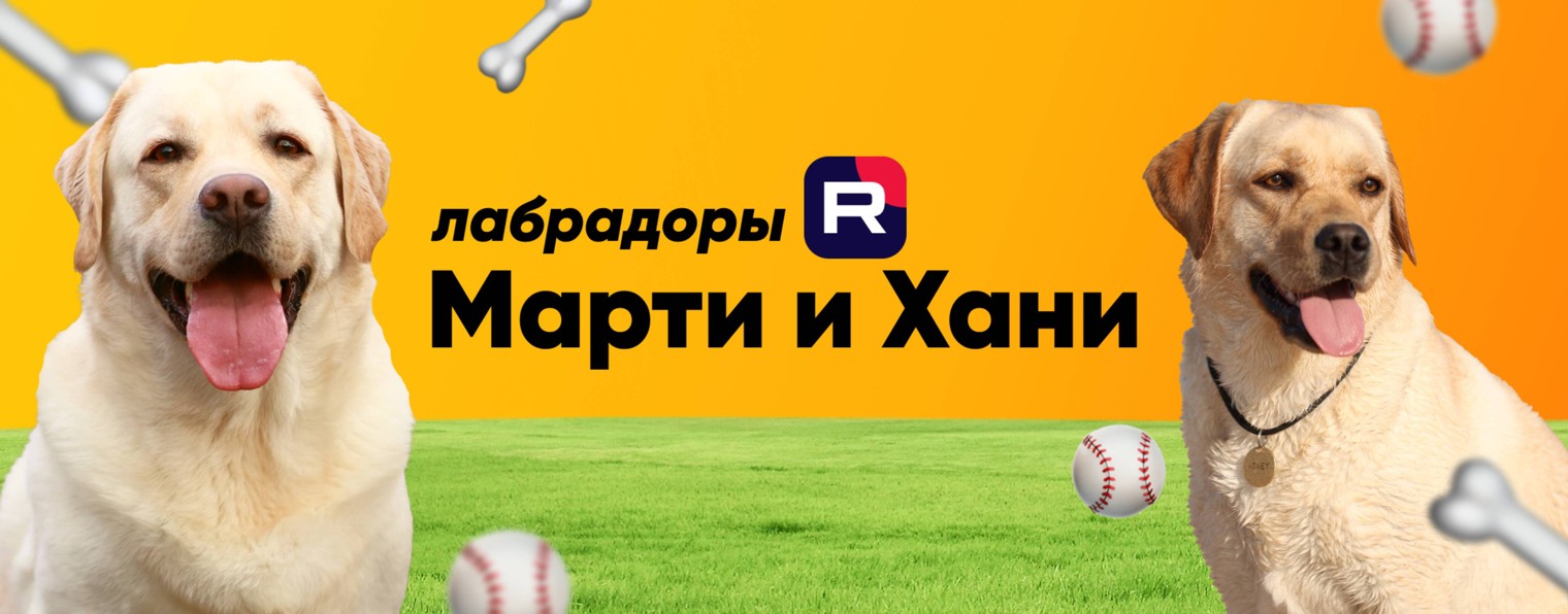 Лабрадор Марти и Хани
