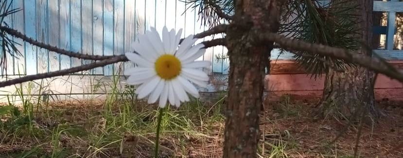 О любви к России и не только