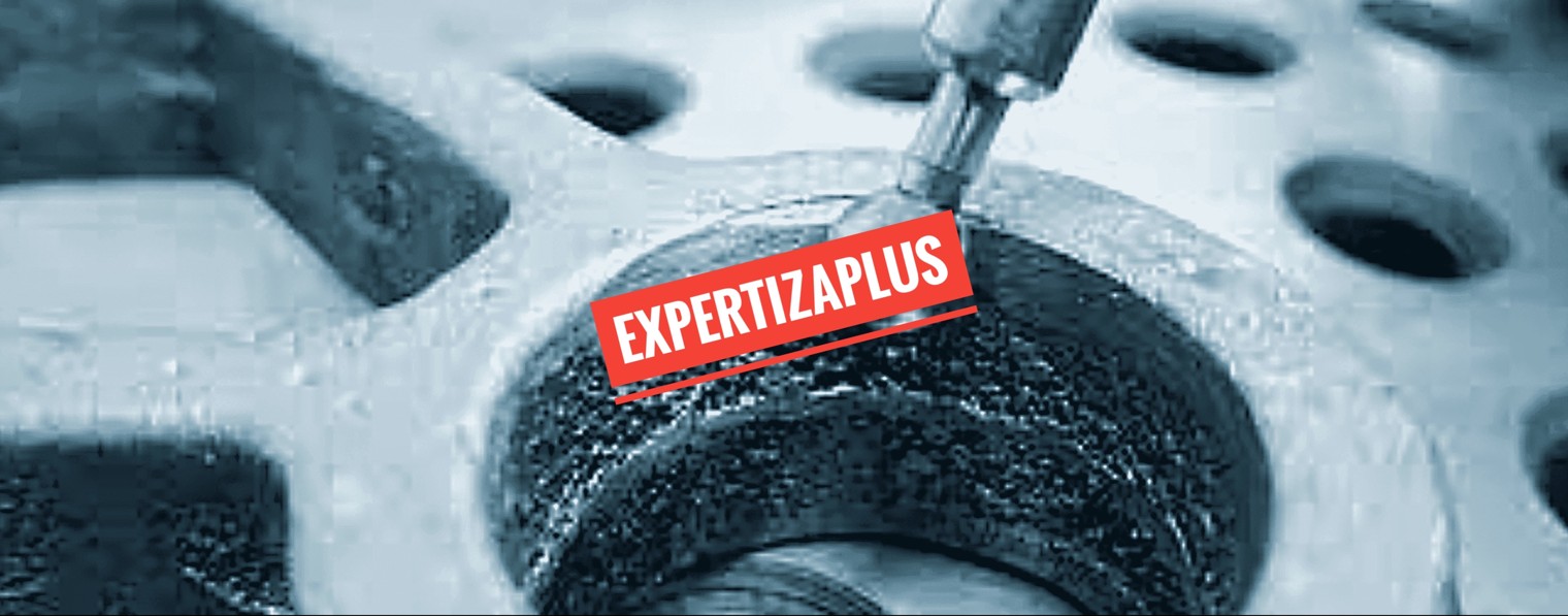 ЭКСПЕРТИЗА ПЛЮС