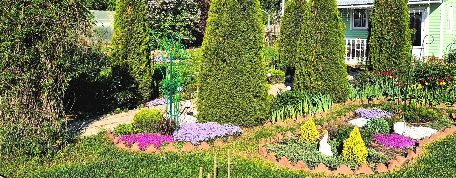 Цветы на даче у Валентины