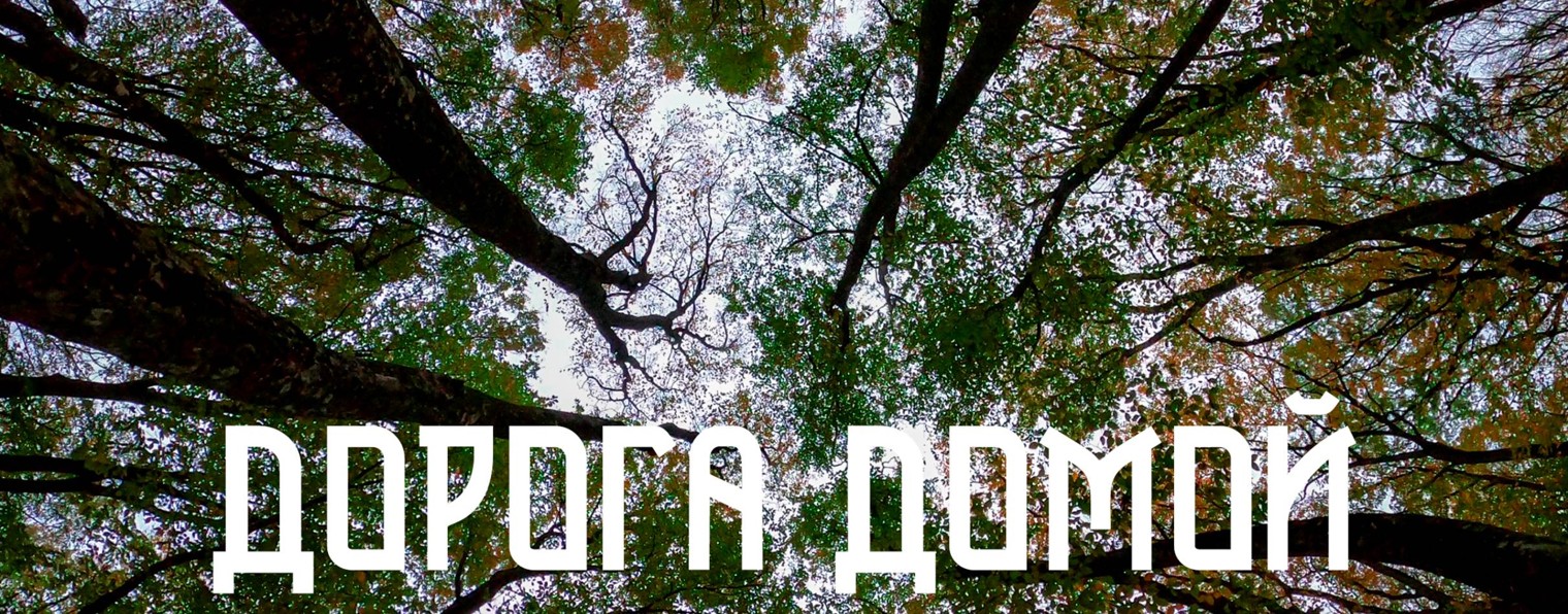 Дорога Домой