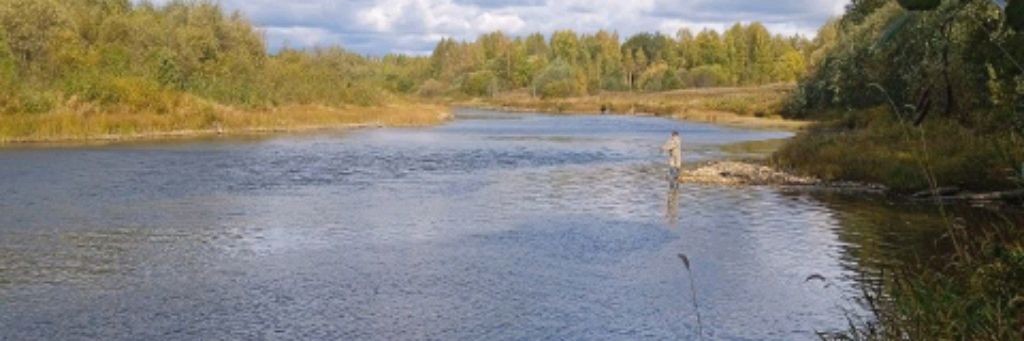 Fishing с нами! 🎣