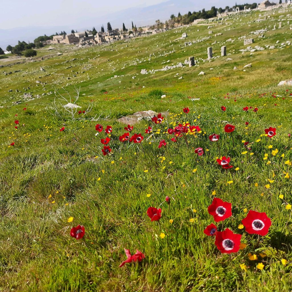 ПО СТРАНИЦАМ...
