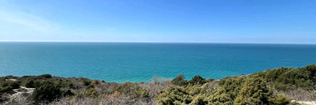 ЖИВУ В РОССИИ .