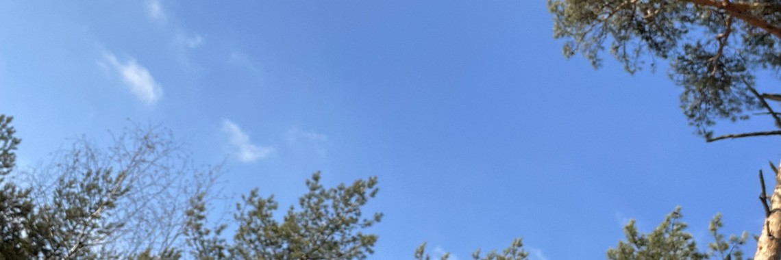 Вкусно и Весело