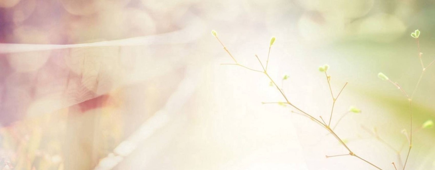 SuperStar.net или Пенсионеры в Интернете