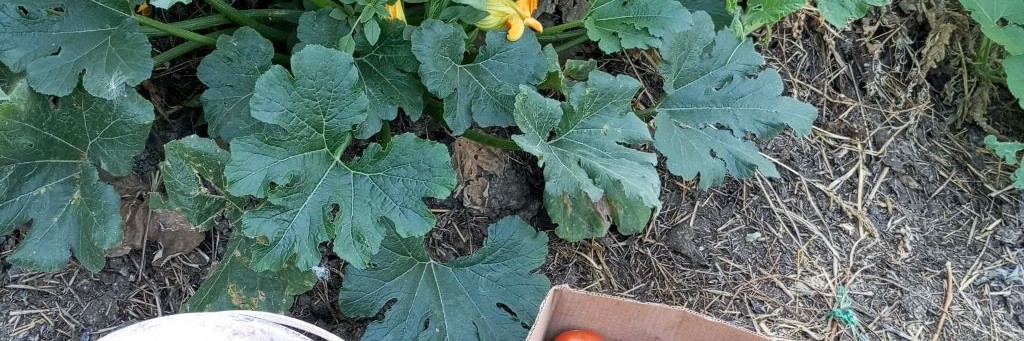 Трудоголик