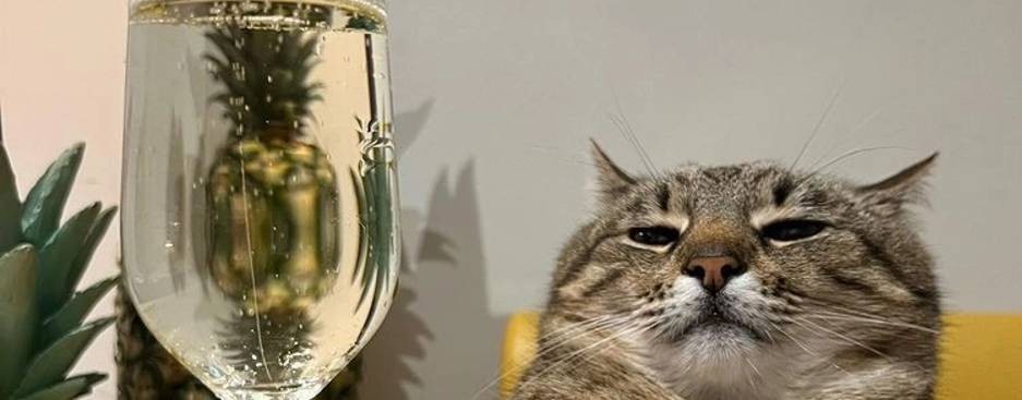 окак