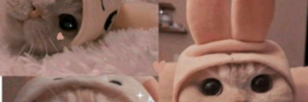 ☕П Е Ч Е Н Ю Ш К А🍪