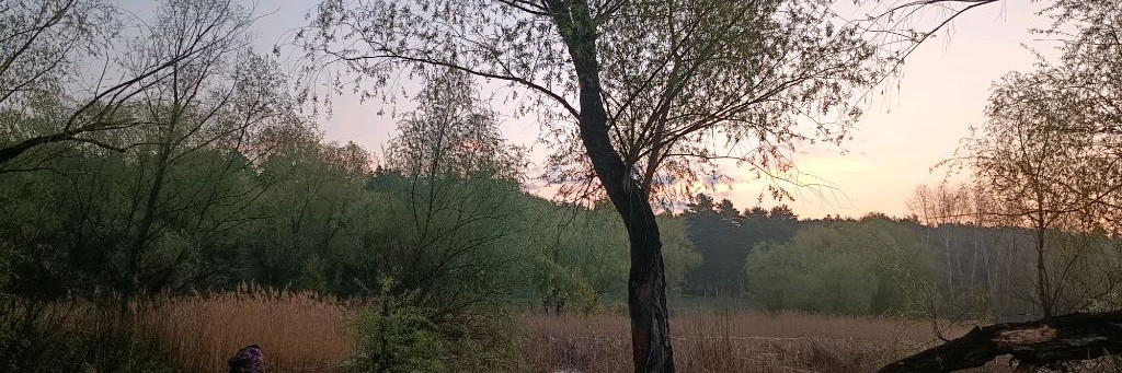 Рыбалка в Тольятти