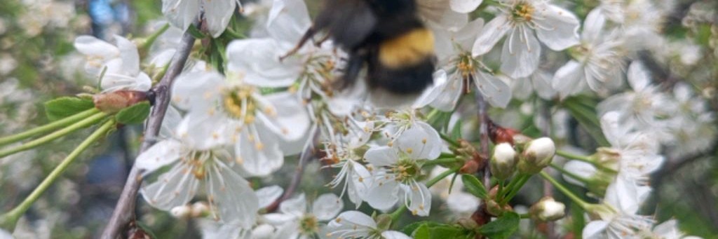 Новый Скорпион Серёга