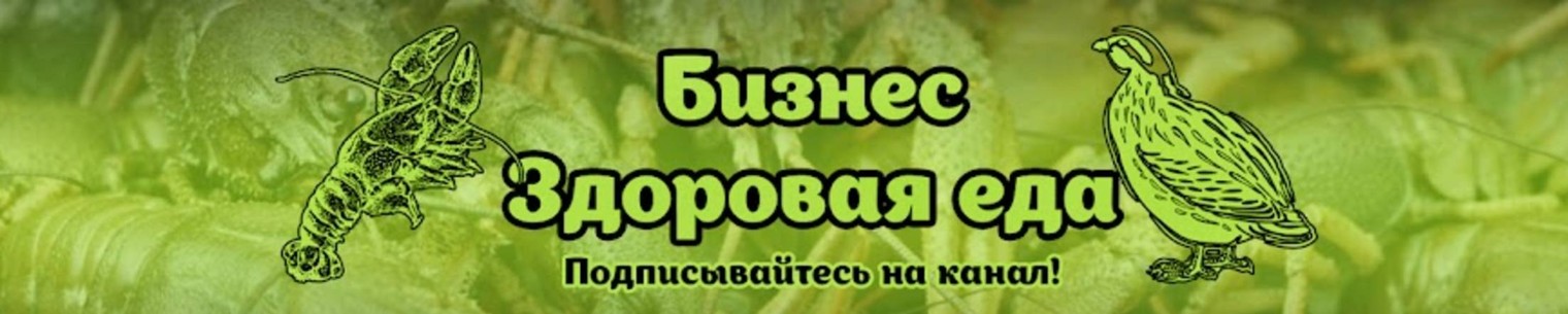 Бизнес и хобби