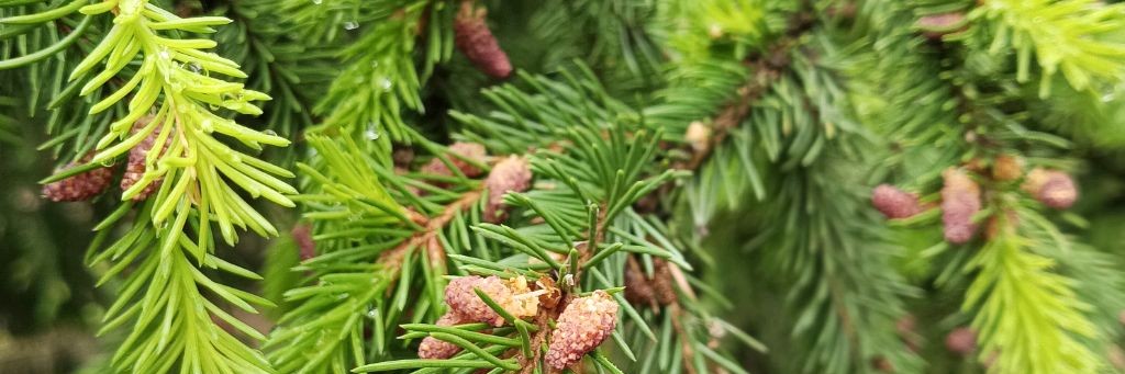 ОльгаВикторовна