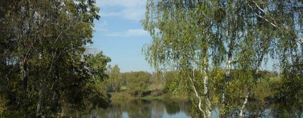 Стихи и песни о война на Украине и не только