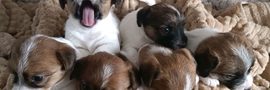 Обо всем понемногу!