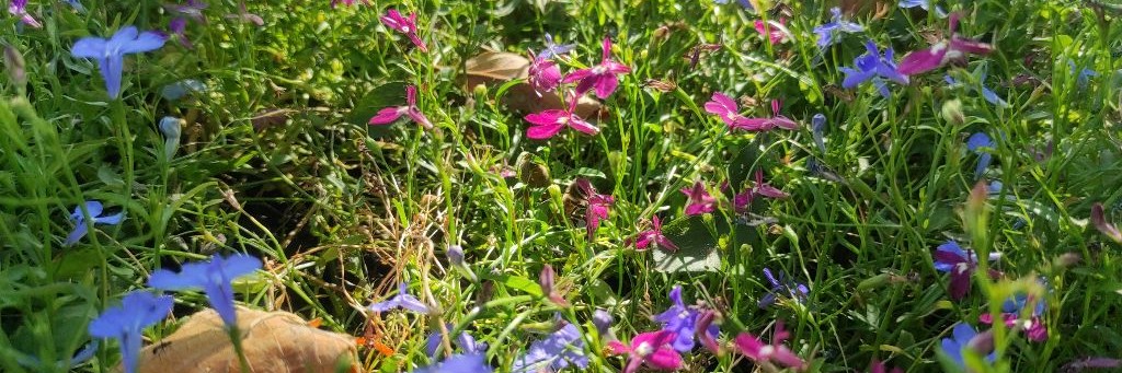 Ищу Путь К Жизни