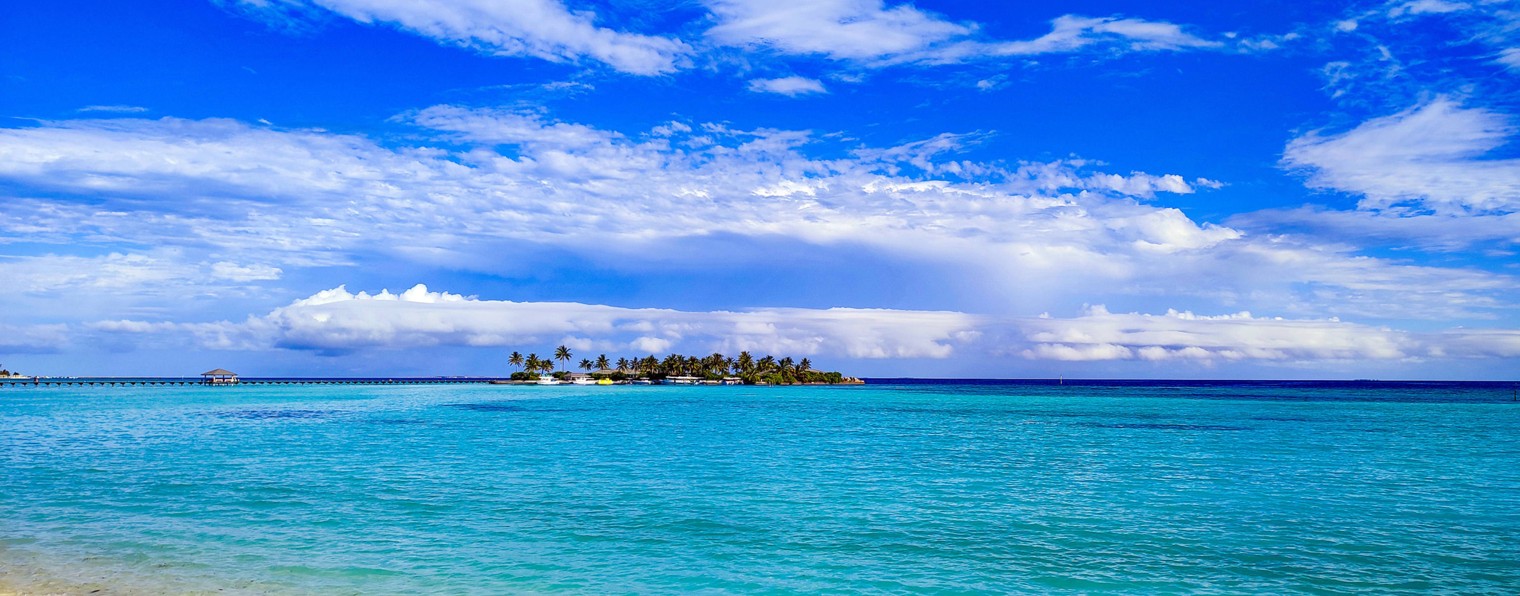 Дрон-Нейрон