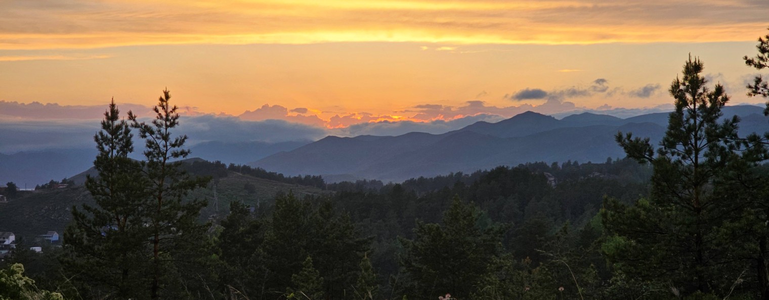 Папины дочки