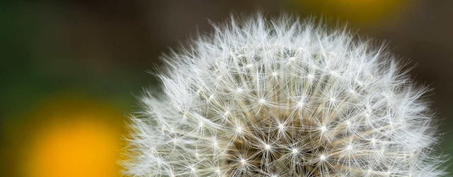 МБДОУ "Детский сад № 231" г.о. Самара