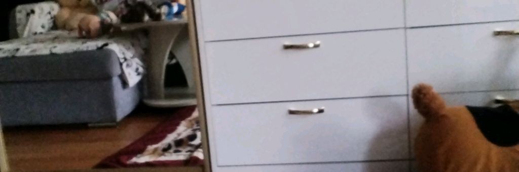 Эмиль Фильшин